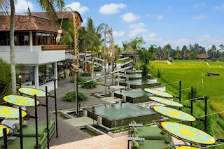 Cretya Sunset, Pesona Baru Ubud untuk Nikmati Senja dan Alam Pedesaan ...